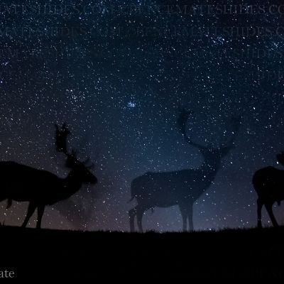 Egis | Environment Protection